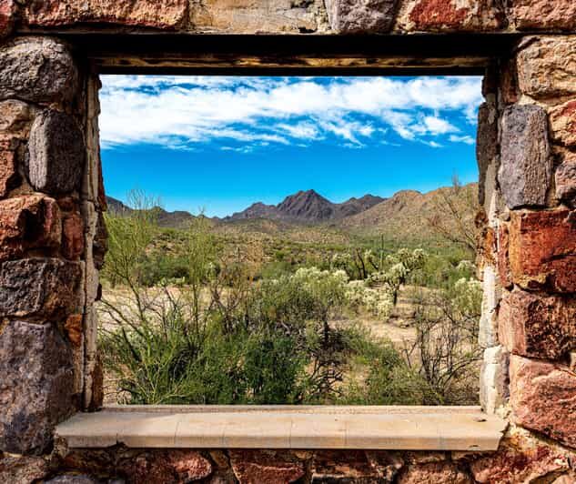 From Tucson: Sonoran Desert with Desert Museum Ticket - Exploring the Heart of the Sonoran Desert