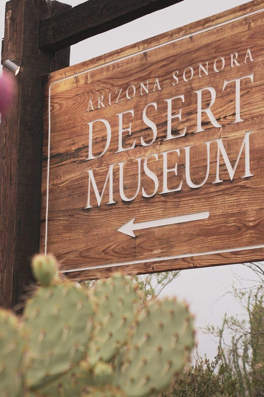 From Tucson: Sonoran Desert with Desert Museum Ticket - The Peaceful San Xavier Mission