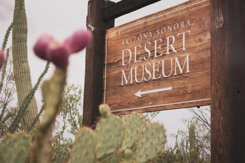 From Tucson: Sonoran Desert with Desert Museum Ticket - Analyzing the Tour’s Value