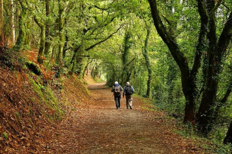 From Tui: 9-Day Guided Camino Walking Tour to Santiago - Key Points