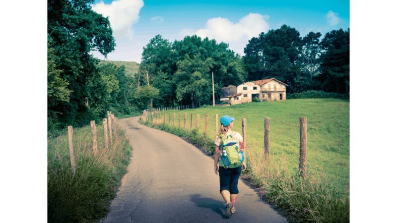From Tui: 9-Day Guided Camino Walking Tour to Santiago - The Experience: Walking the Camino Portugues from Tui