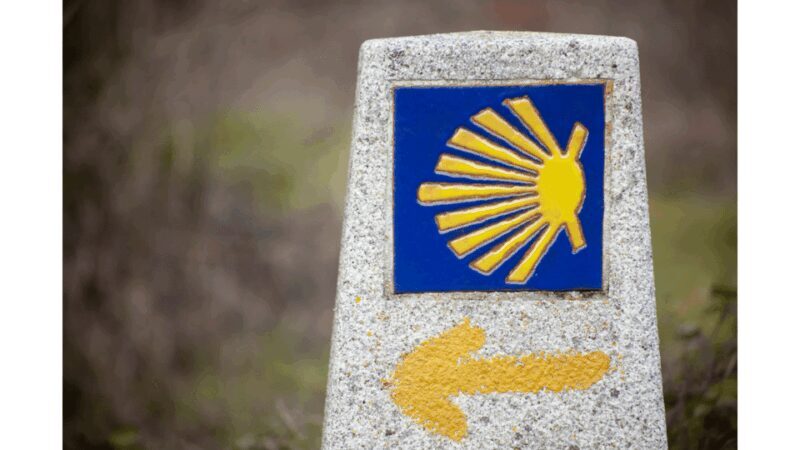 From Tui: 9-Day Guided Camino Walking Tour to Santiago - Practical Considerations