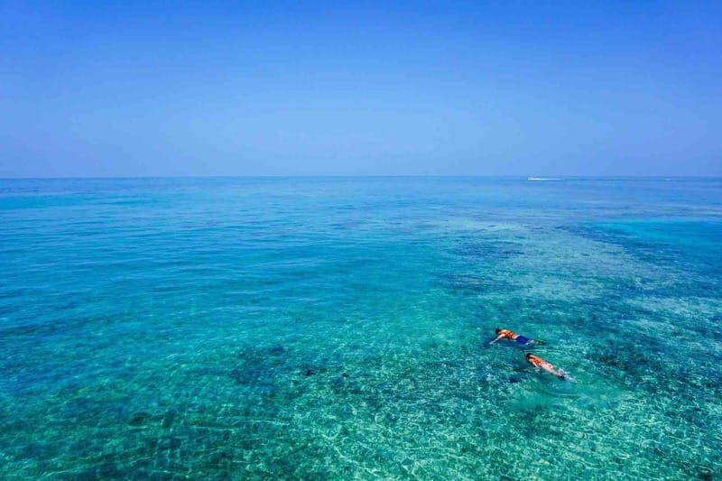 From Tulum: Cenote Riviera Maya & Snorkel Excursion - Who This Tour Is Best For