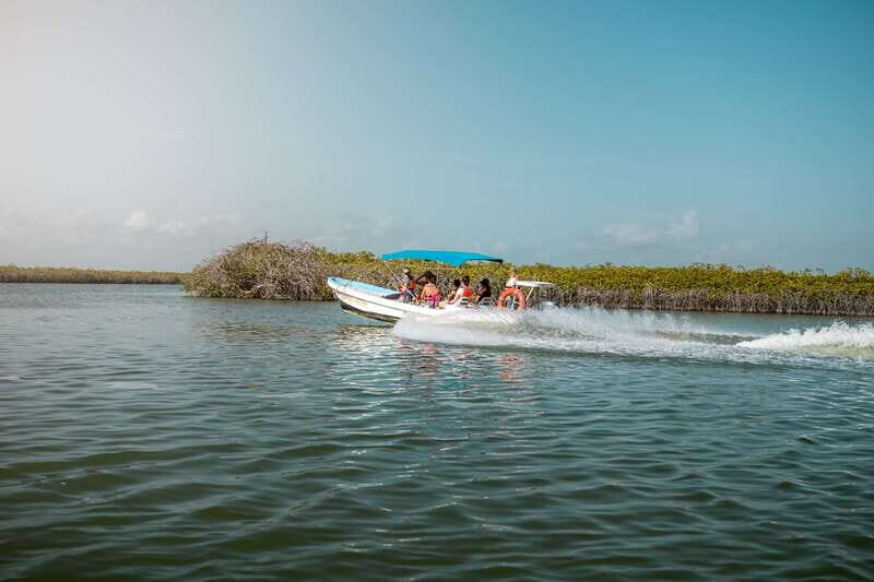 From Tulum: Sian Kaan Boat Trip Adventure with Lunch - Final Thoughts: Is This Tour for You?