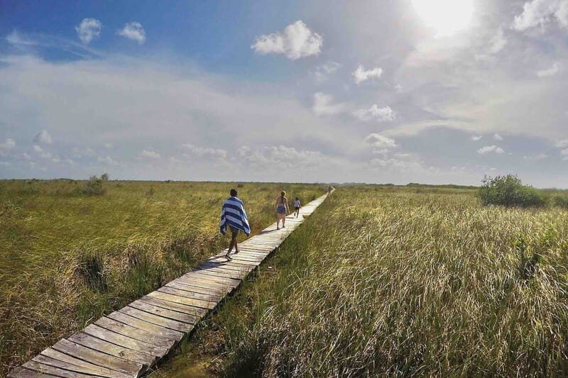 From Tulum: Sian KaAn Muyil Lagoon Tour - A Closer Look at What You Can Expect