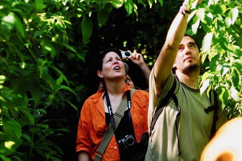 From Tulum: Sian KaAn Muyil Lagoon Tour - What Travelers Are Saying