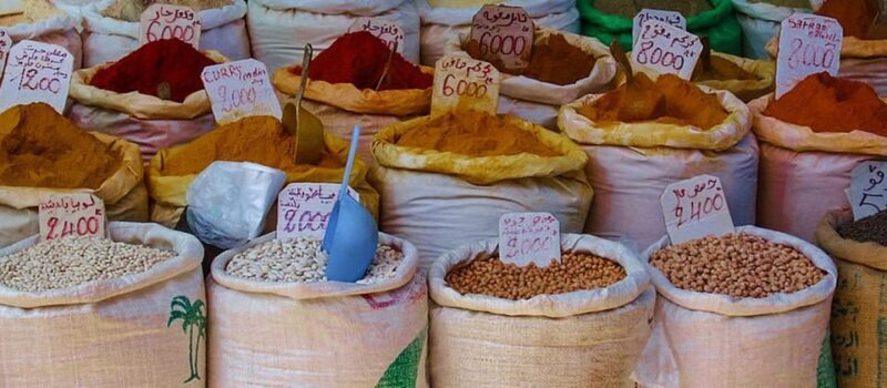From Tunis/Sousse: Medina Bardo Carthage, Sidi Boussaid Tour - Key Points