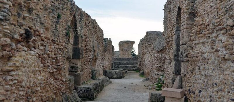 From Tunis/Sousse: Medina Bardo Carthage, Sidi Boussaid Tour - Authenticity and Cultural Insight