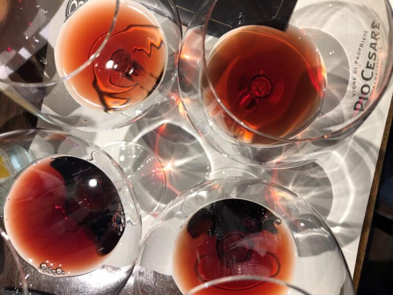 From Turin: Barolo & Barbaresco Tasting Tour - An In-Depth Look at the Experience