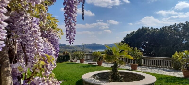 From Turin: food and wine guided tour in Canavese - Key Points