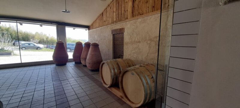 From Turin: food and wine guided tour in Canavese - Authenticity and Traveler Feedback: What They Say