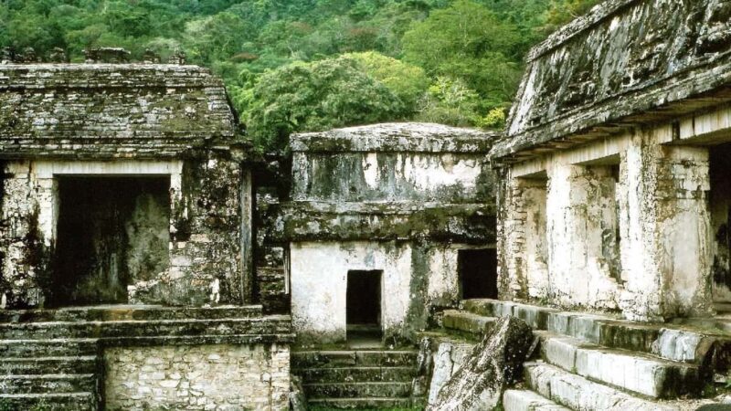 From Tuxtla Gutierrez: Palenque & Chiapas 4-Day Tour - Practical Tips for Travelers