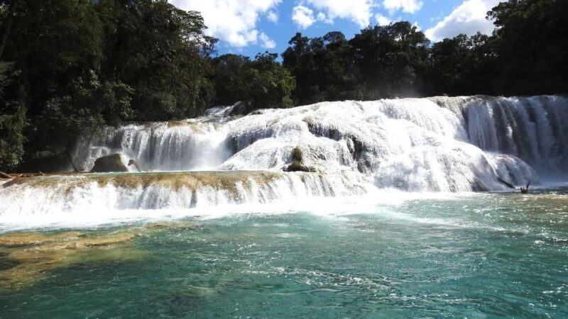 From Tuxtla Gutierrez: Palenque & Chiapas 4-Day Tour - Authentic Experiences and Cultural Highlights