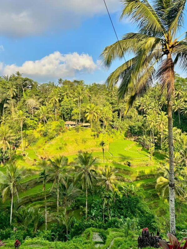 From Ubud: ATV Adventure, Rice Fields, and Waterfall Tour - Discovering the Bali Landscape: What To Expect