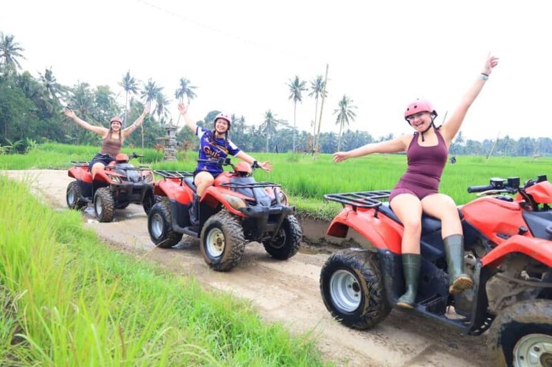 From Ubud: ATV Adventure, Rice Fields, and Waterfall Tour - The Sum Up
