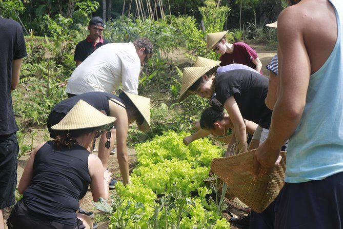From Ubud: Authentic Bali Farm Cooking School & Organic Farm - Who Should Book This?
