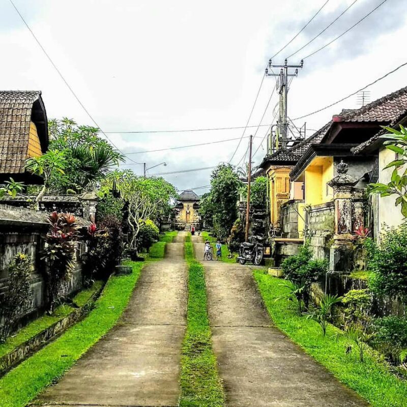 From Ubud: Balinese Home Visit and Firefly Experience - The Sum Up