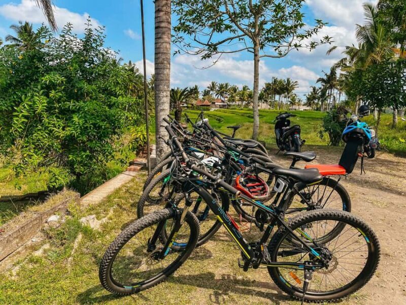 From Ubud: Downhill Bike Tour with Rice Terraces and Meal - An In-Depth Look at the Bali Downhill Bike Tour