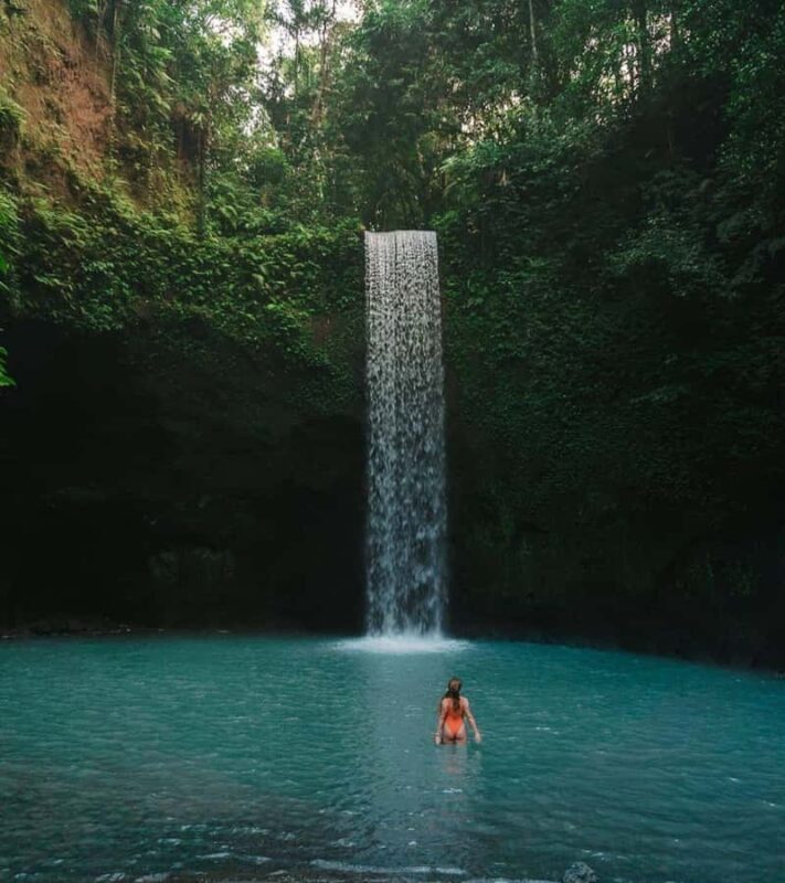 From Ubud: Rice Terrace, Monkey Forest & Waterfall Tour - Key Points