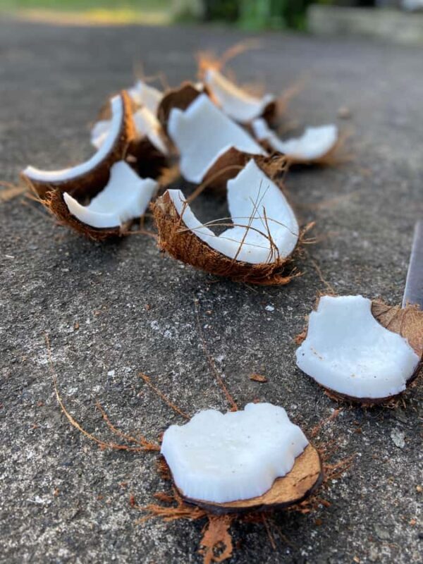 From Ubud: Traditional Bali Coconut Oil Class - The Practical Side: What You Need to Know