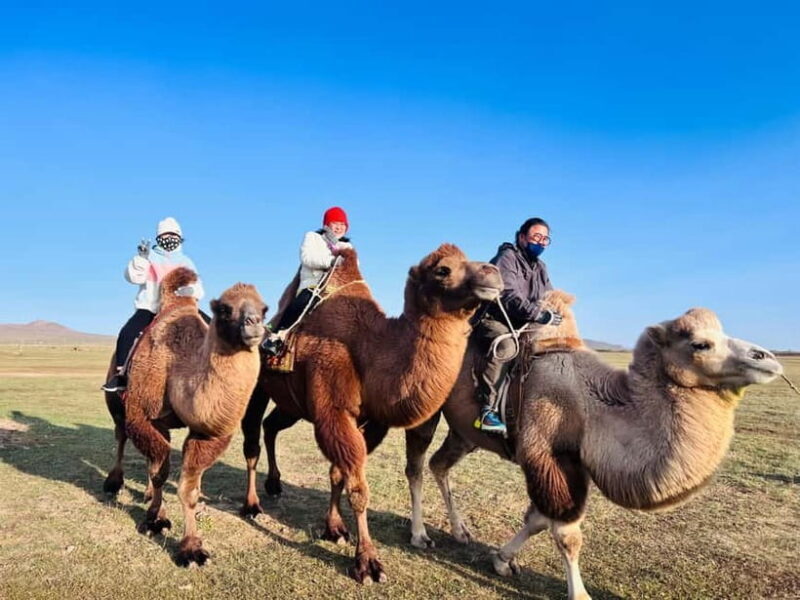 From Ulaanbaatar: 2-Day Kharkhorin and Elsen Tasarkhai Tour - The Itinerary: What to Expect on Your 2-Day Mongolian Journey