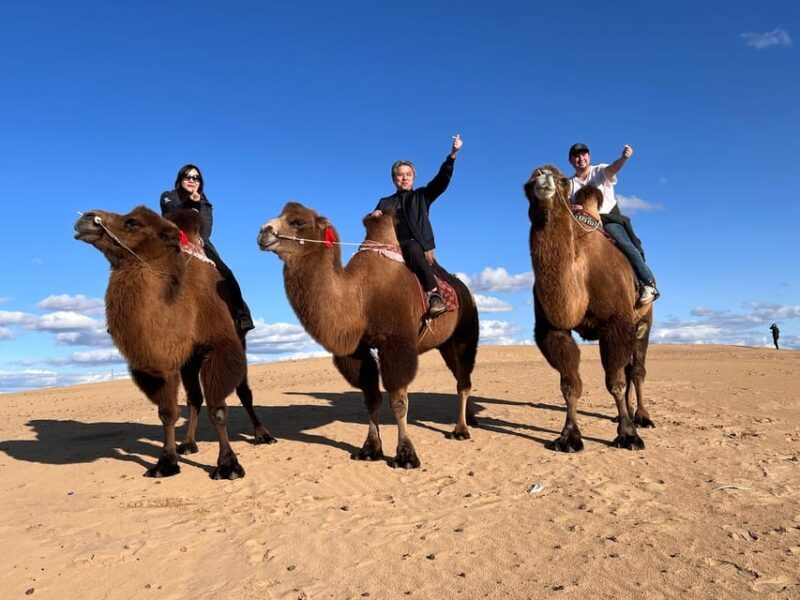 From Ulaanbaatar: Central Mongolia Guided 3-Day Tour - Who Should Consider This Tour?