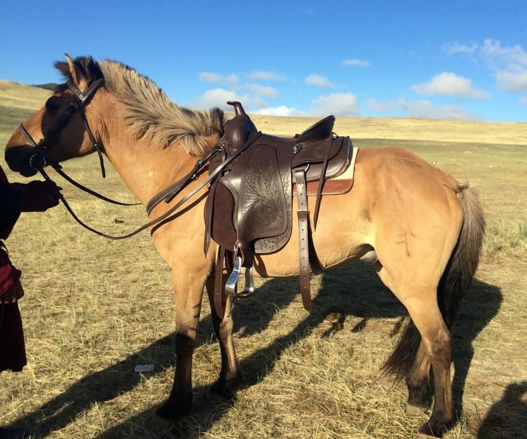 From Ulaanbaatar: Day Trip to Hustai National Park - Key Points