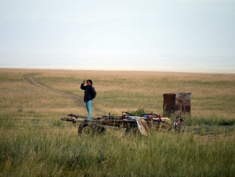 From Ulaanbaatar: Day Trip to Hustai National Park - Frequently Asked Questions