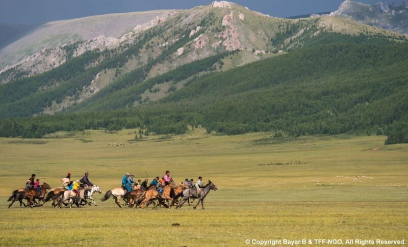 From Ulaanbaatar: Mini Gobi, Wild horse - Terelj tour - Authentic Experiences That Shine