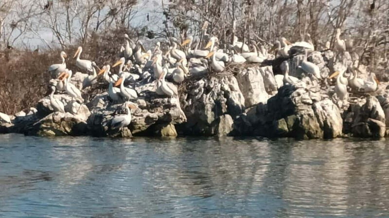 From Ulcinj: Skadar Lake Land and Boat Tour - FAQ