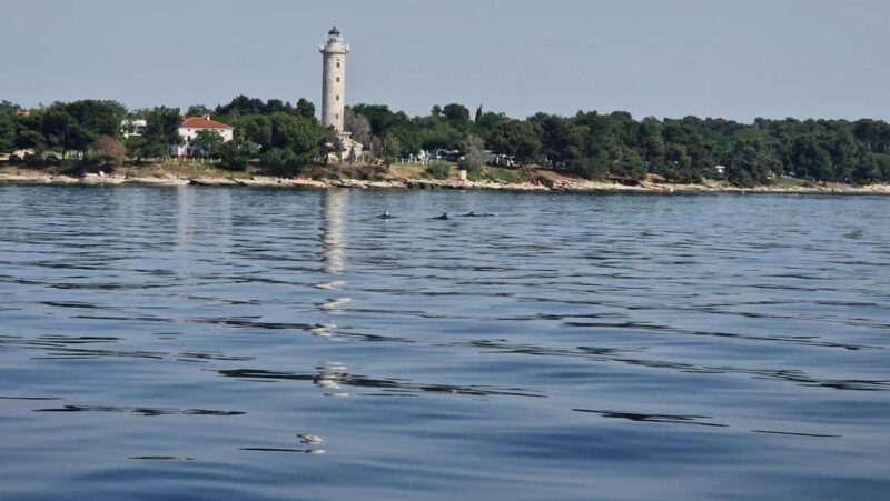 From Umag: Boat Tour to Savudrija with Swimming and Dolphins - The Sum Up