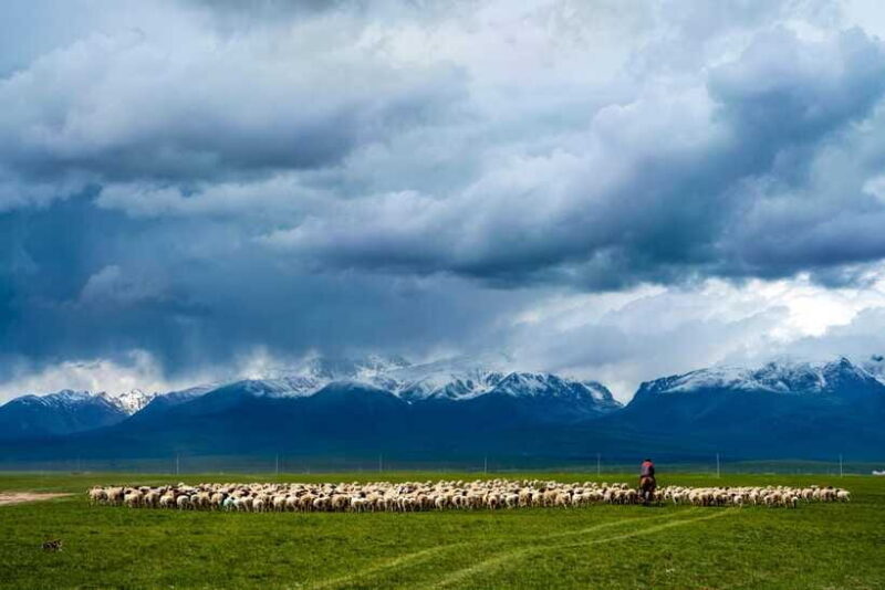 From Urumqi: 7-Day Silk Road Tour with Kashgar and Turpan - The Sum Up