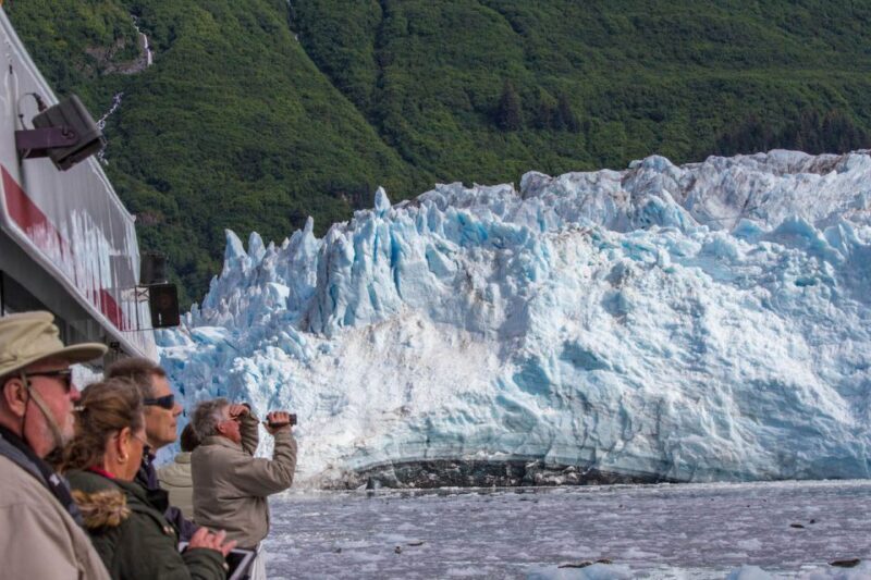 From Valdez: 7.5-hour Meares Glacier & Wildlife Cruise - A Deep Dive Into the Experience