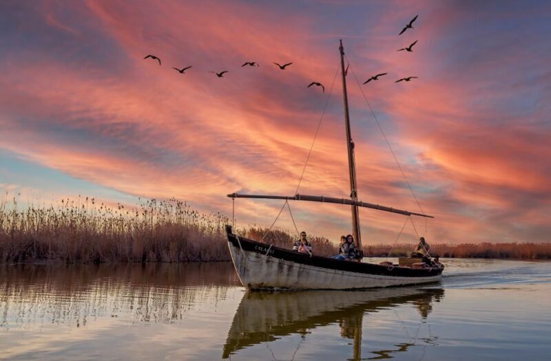 From Valencia: Albufera Day Trip with Boat Tour and Transfer - Key Points