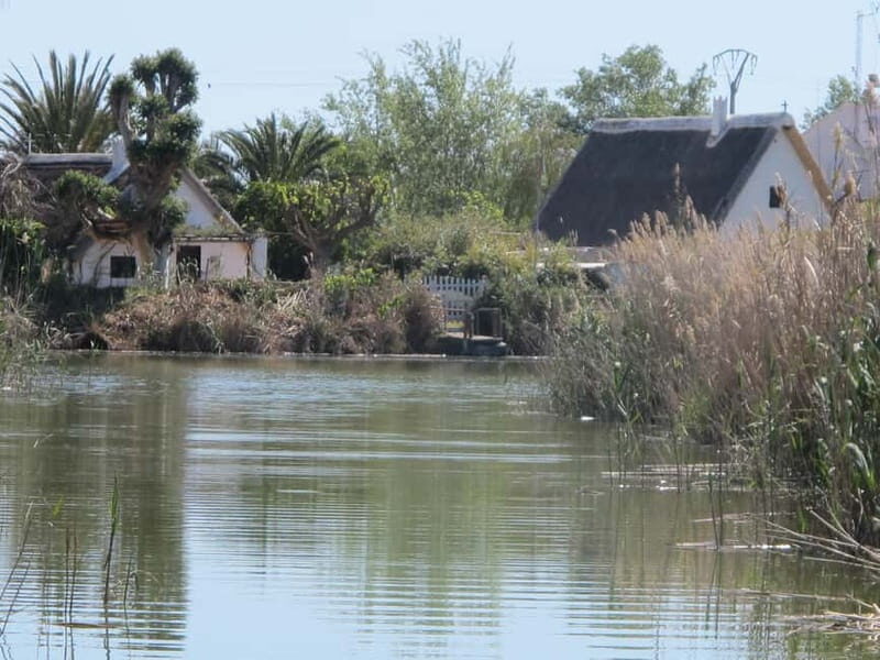 From Valencia: Albufera Natural Park Bus, Cruise and Lunch - A Closer Look at the Tour Experience