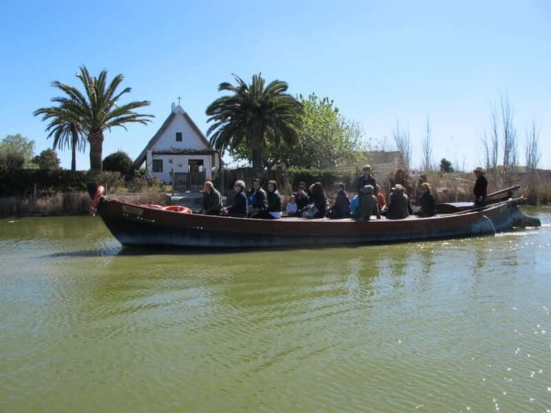 From Valencia: Albufera Natural Park Bus, Cruise and Lunch - Authentic Experiences Highlighted by Past Travelers