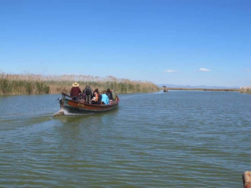 From Valencia: Albufera Natural Park Bus, Cruise and Lunch - Who Will Enjoy This Tour?