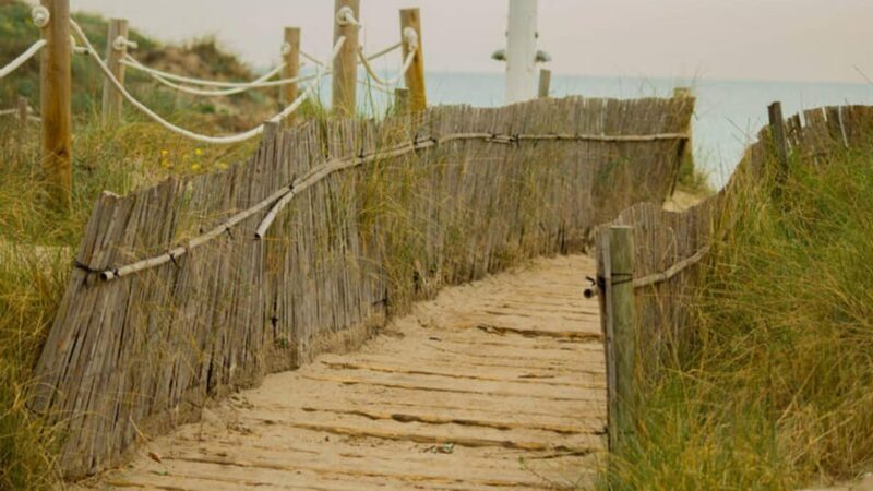 From Valencia: Albufera Natural Park Eco Boat Tour & Sunset - FAQ