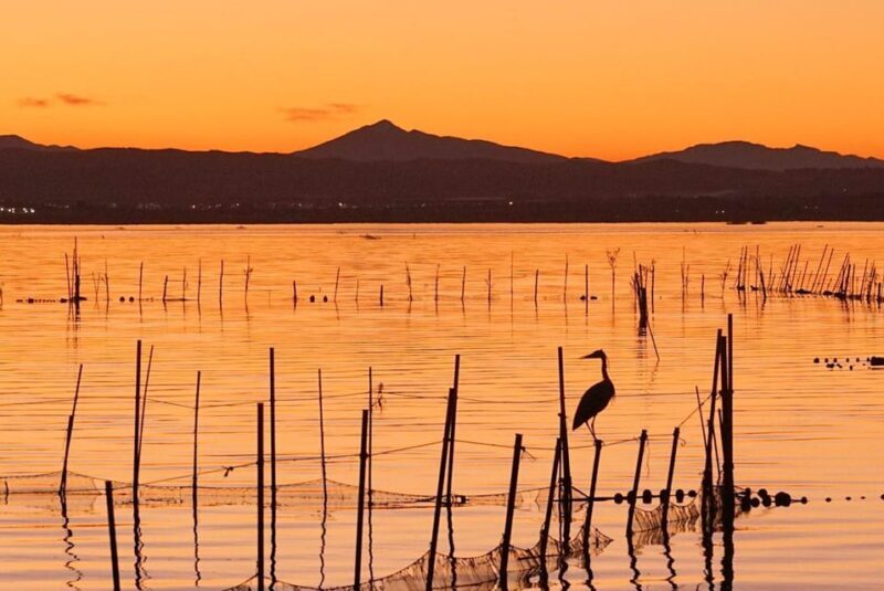 From Valencia: Albufera Natural Park with Sunset Boat Tour - Exploring the Itinerary in Detail