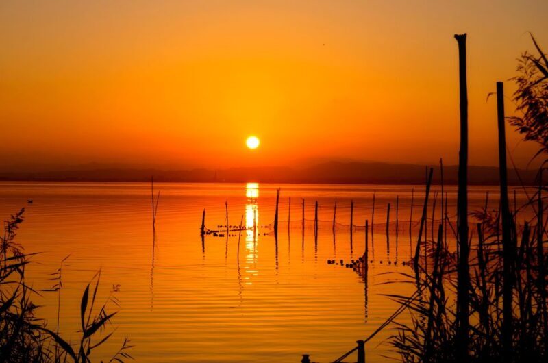 From Valencia: Albufera Natural Park with Sunset Boat Tour - Practical Details and Considerations