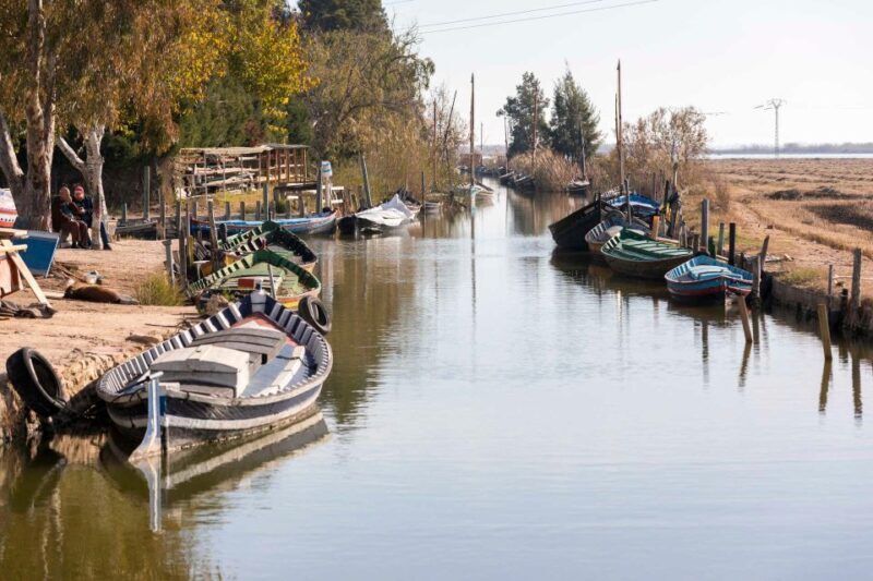 From Valencia: Albufera Natural Park with Sunset Boat Tour - Final Thoughts