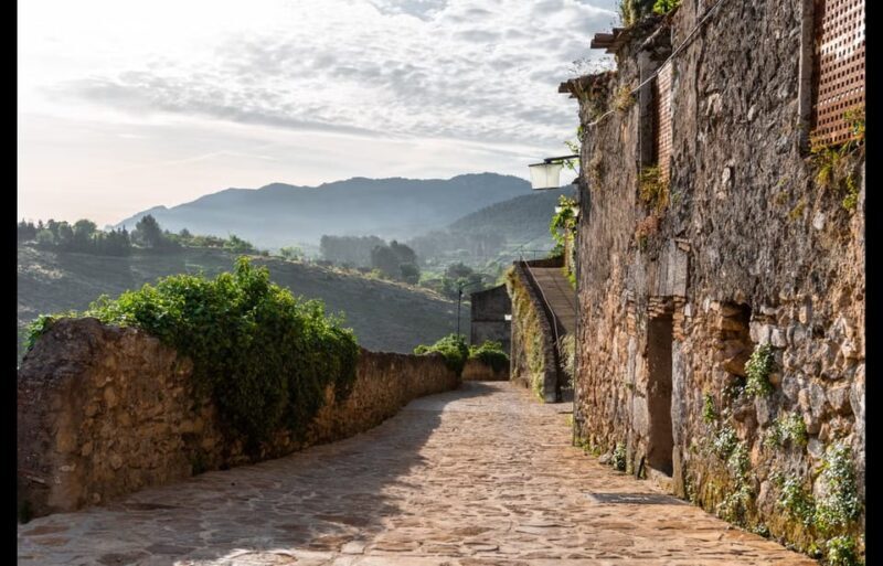 From Valencia: Discover the Medieval Splendour of Bocairent - Overview of the Tour