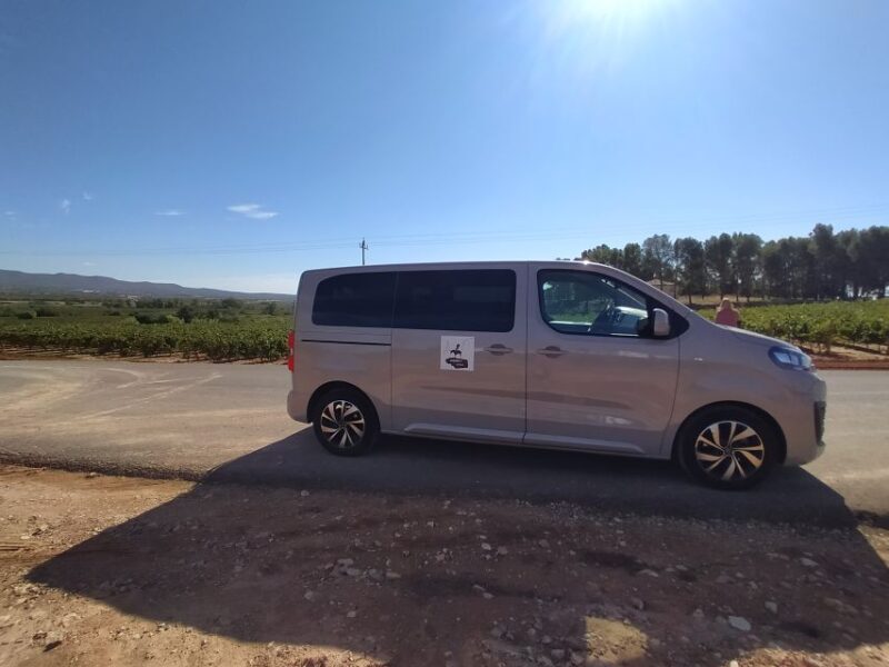 From Valencia: Requena Wine Tour with Tastings - The Experience: What to Expect on the Requena Wine Tour