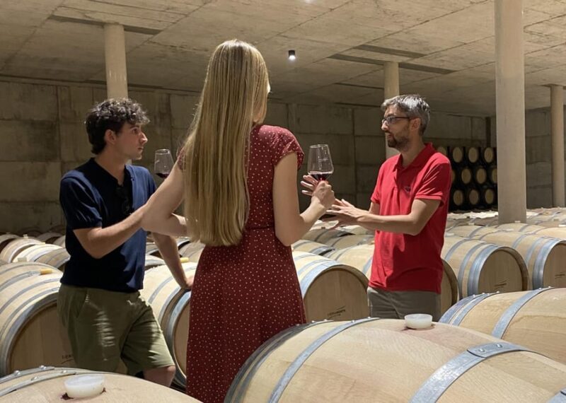 From Valencia: Requena Wine Tour with Tastings - Authentic Experiences and Guest Feedback
