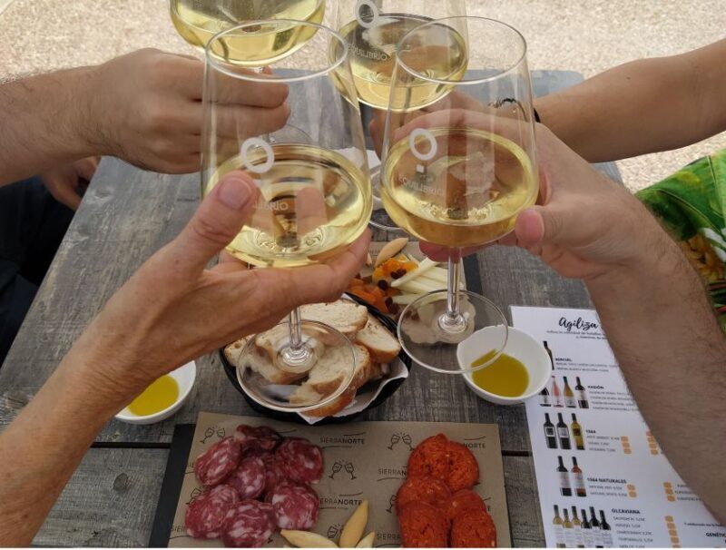 From Valencia: Requena Wine Tour with Tastings - Who Should Consider This Tour?