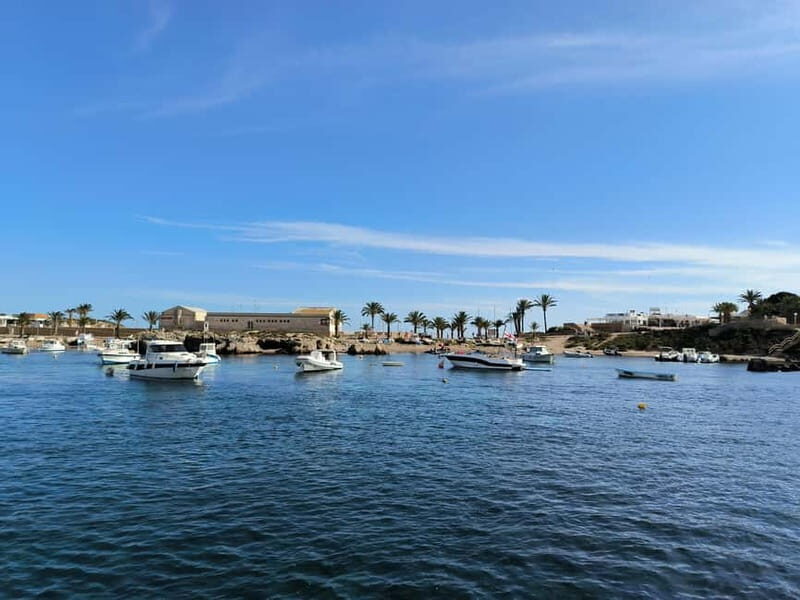 From Valencia: Tabarca Island - A Practical Guide to the Tour Experience