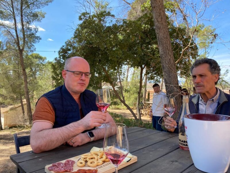 From Valencia: Utiel-Requena Wine Tour and Traditional Lunch - Is It Worth the Price?