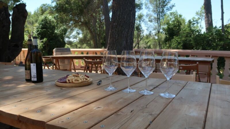 From Valencia: Utiel-Requena Wine Tour and Traditional Lunch - Final Thoughts
