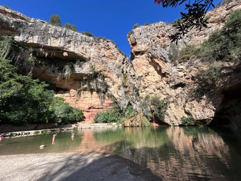 From Valencia: Wine Tasting + Nature exploration - Final Thoughts: Is This Tour for You?