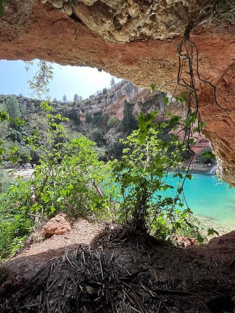 From Valencia: Wine Tasting + Nature exploration - FAQ